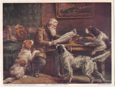 1905 Company Premium from Thomas Murphy Co. Red Oak, Iowa Oversized ...