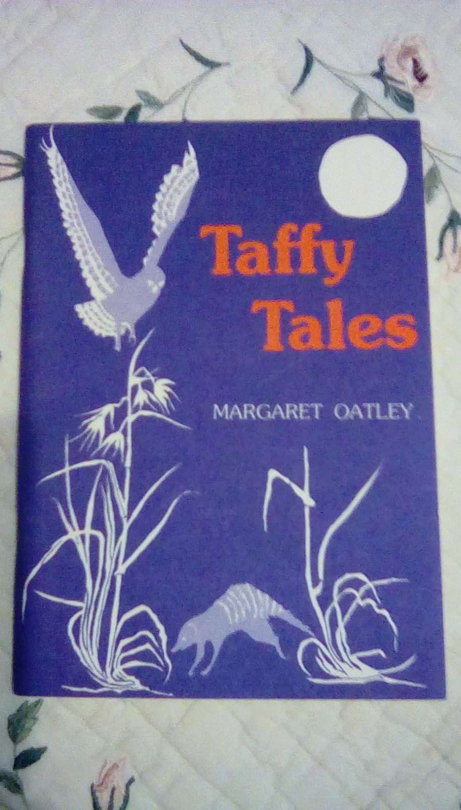 BIBLIO | Taffy Tales by Margaret Oakley | Near Fine | 1983 | Shuter ...