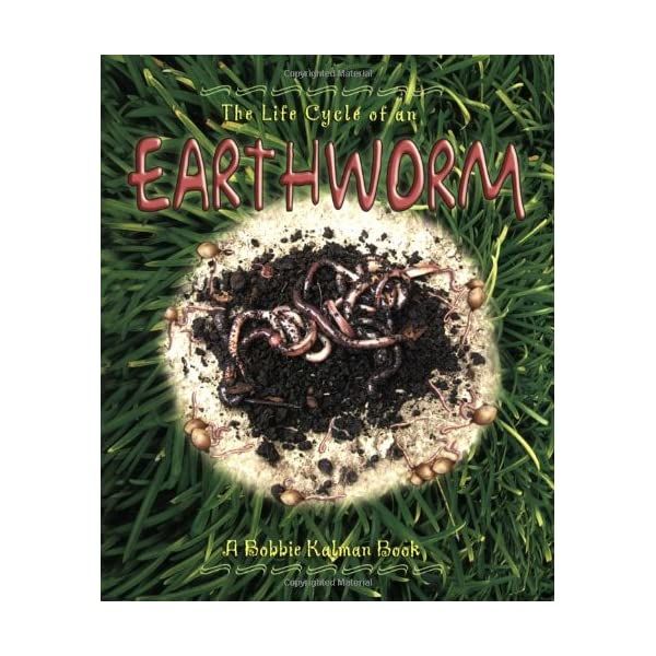 The Life Cycle of an Earthworm (The Life Cycle) by Bobbie Kalman ...