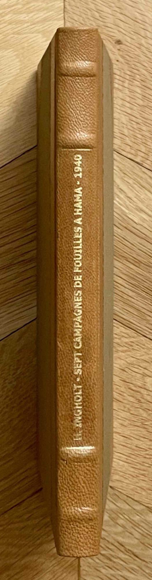 Rapport préliminaire sur sept campagnes de fouilles à Hama en Syrie ...