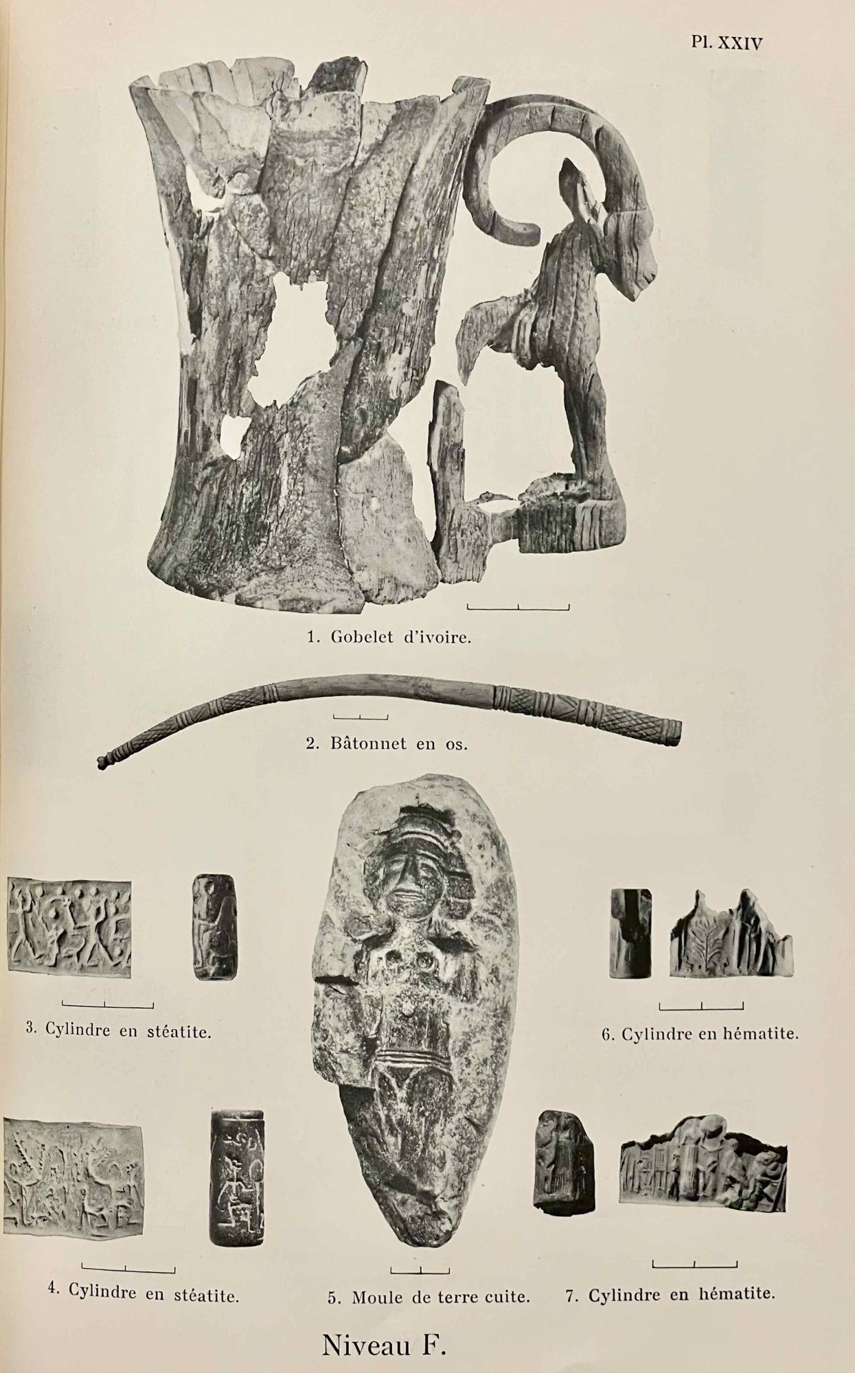 Rapport préliminaire sur sept campagnes de fouilles à Hama en Syrie ...