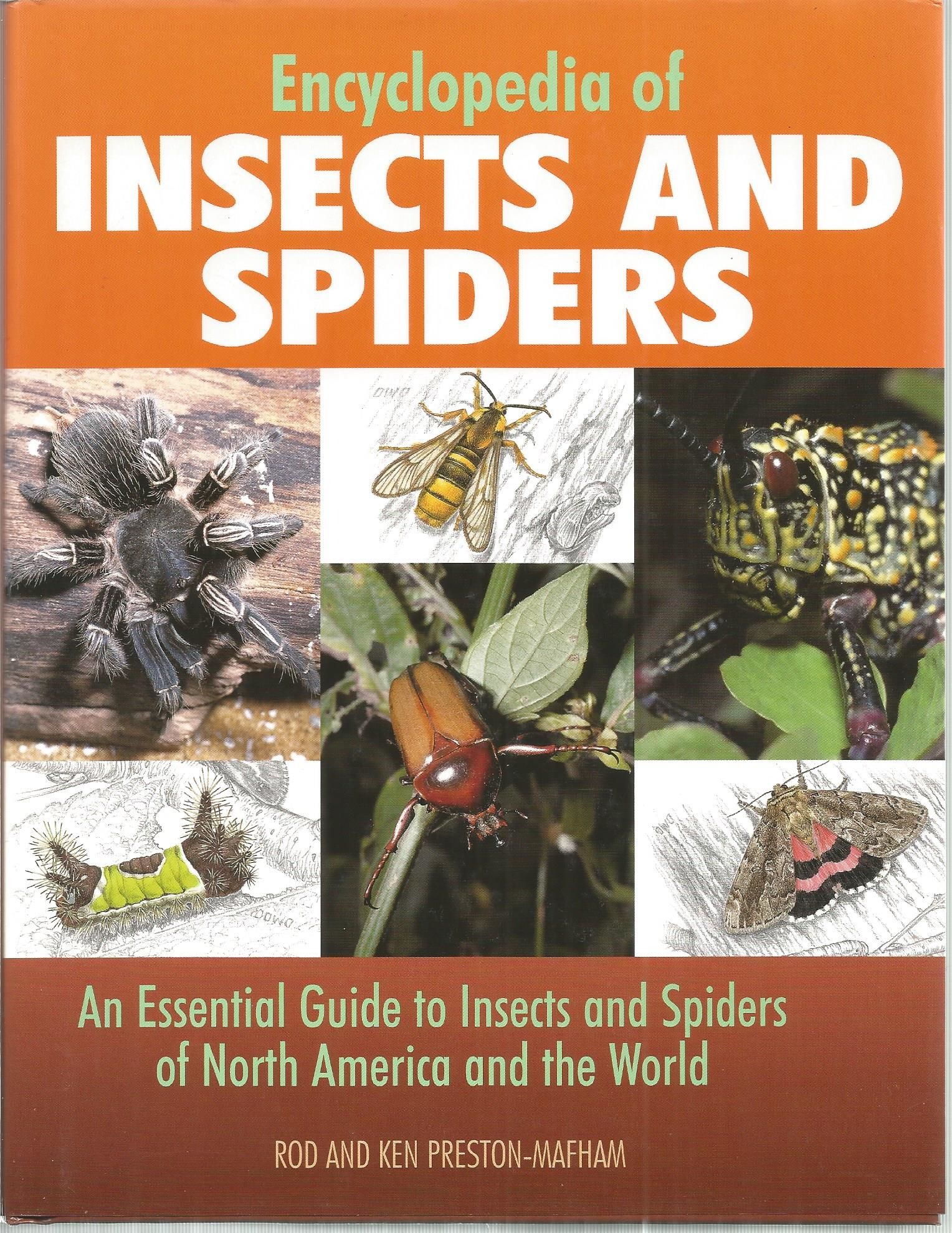 Insects And Spiders Book