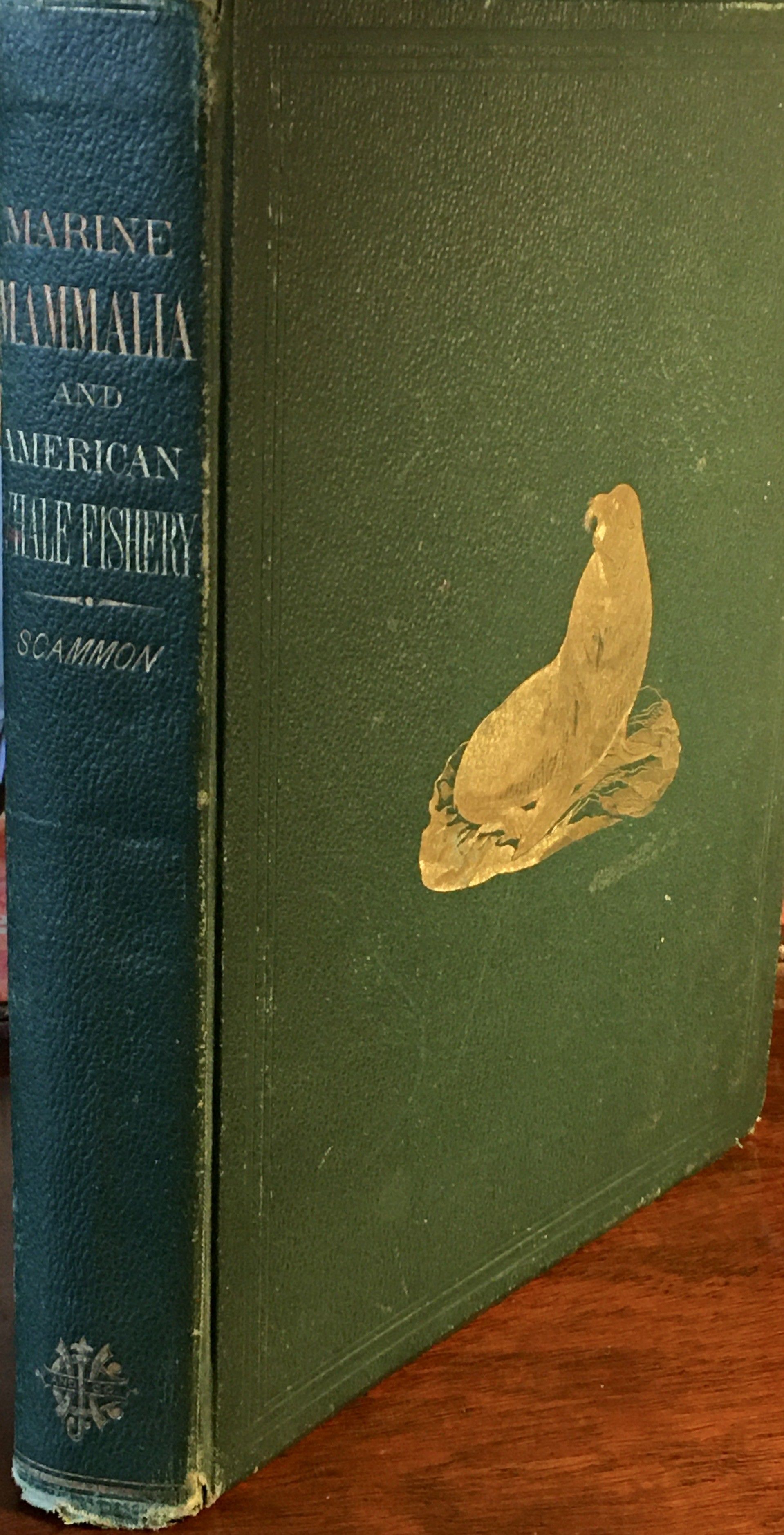 THE MARINE MAMMALS OF THE NORTH-WESTERN COAST OF NORTH AMERICA ...