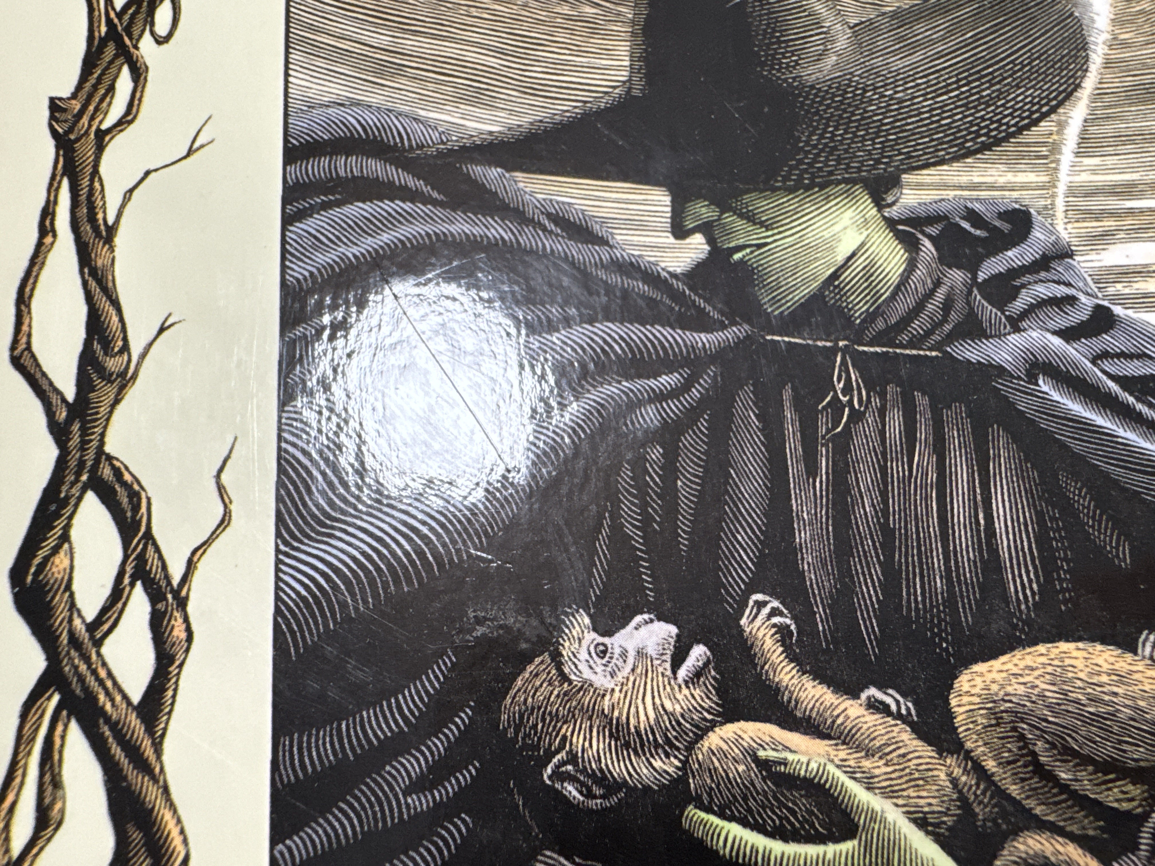 Wicked The Life and Times of the Wicked Witch of the West by Gregory ...