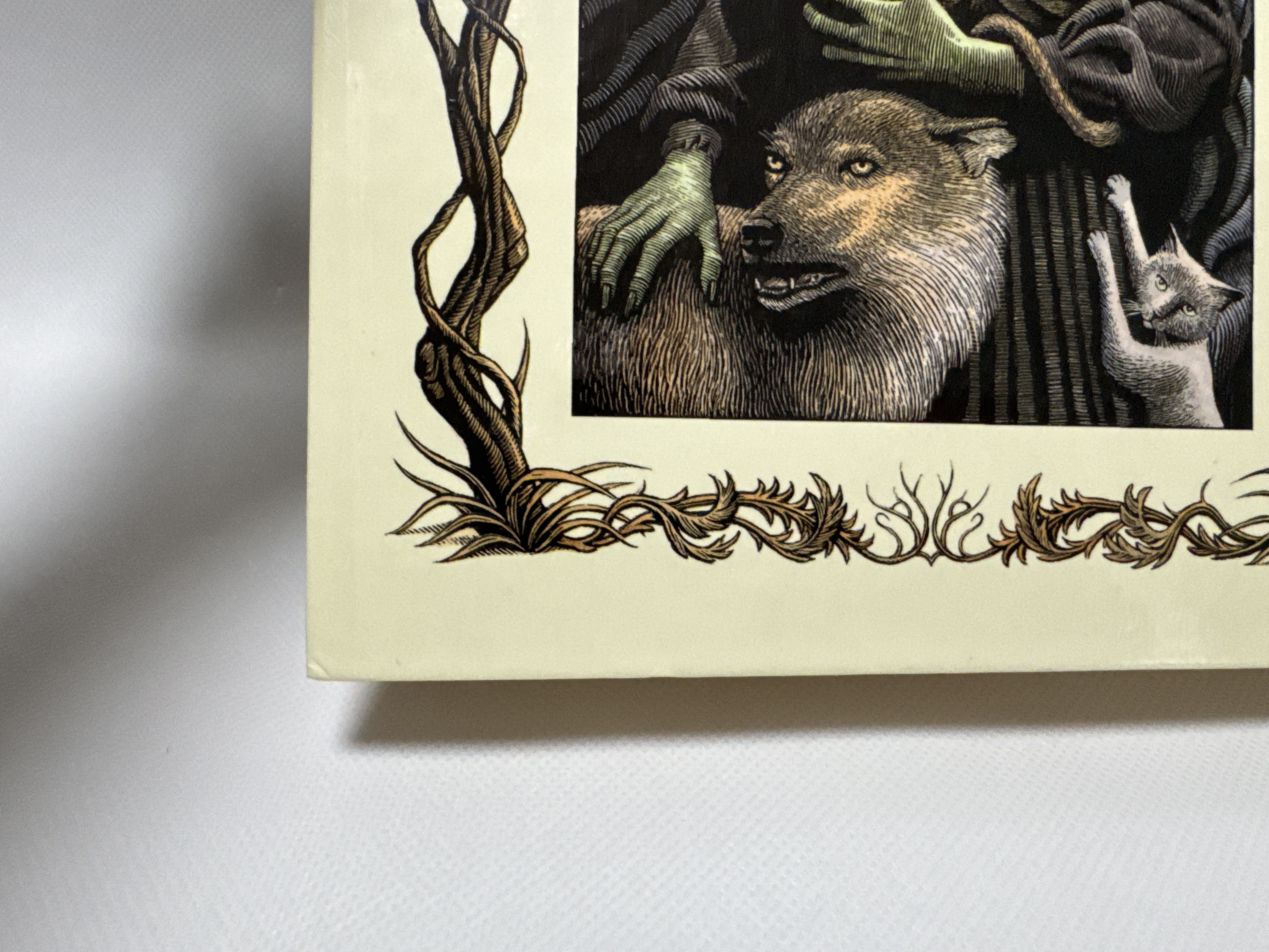Wicked The Life and Times of the Wicked Witch of the West by Gregory ...