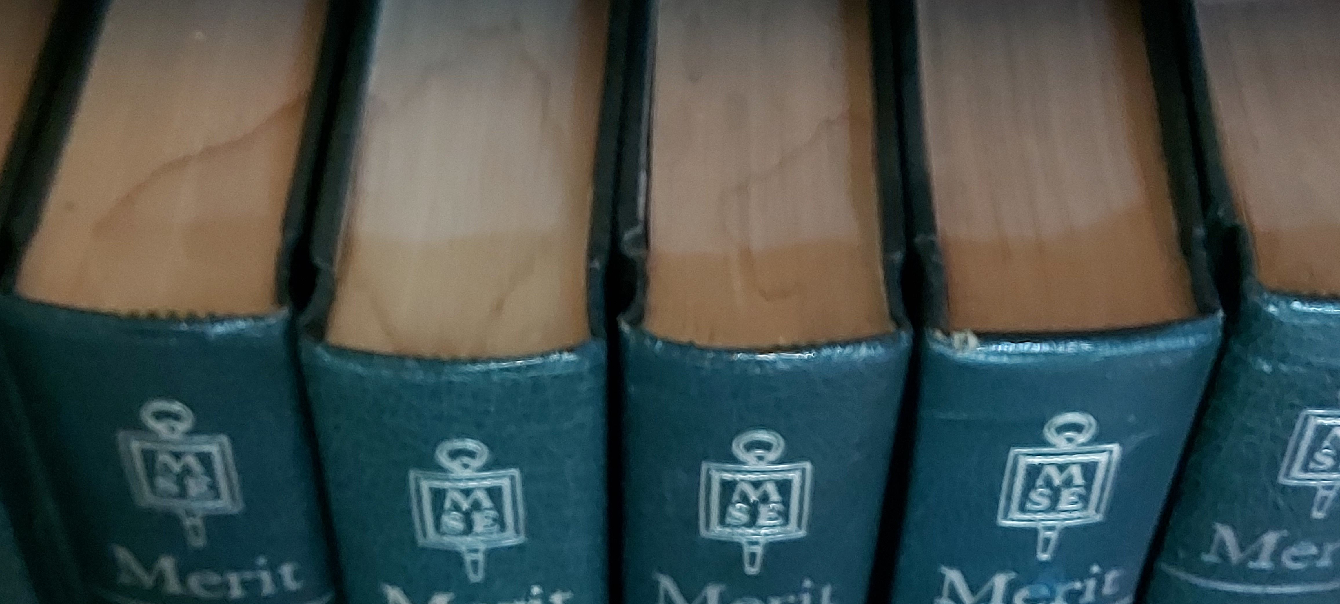 Merit Students Encyclopedia Set - 20 Volumes by Various | Hardcover ...