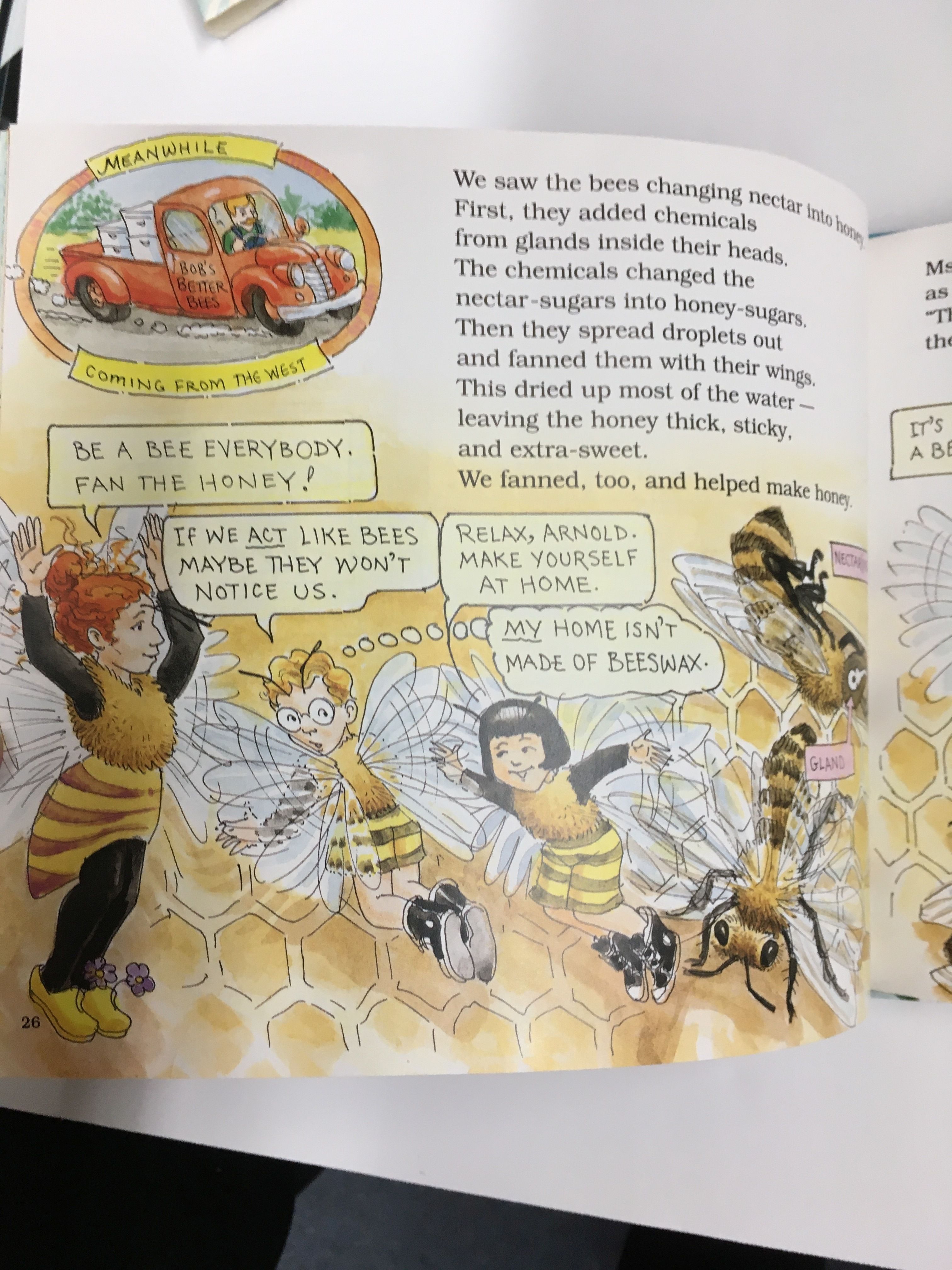 Inside A Beehive Magic School Bus