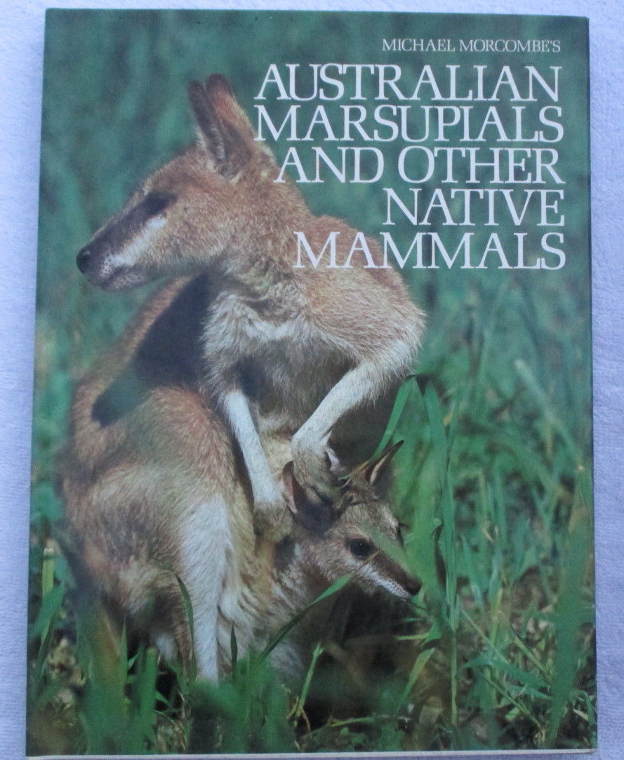Australian Marsupials and Other Native Mammals by Morcombe Michael ...