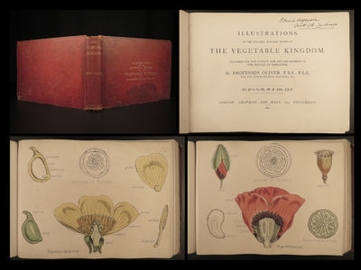 Illustrations of the Principal Natural Orders of the Vegetable Kingdom ...