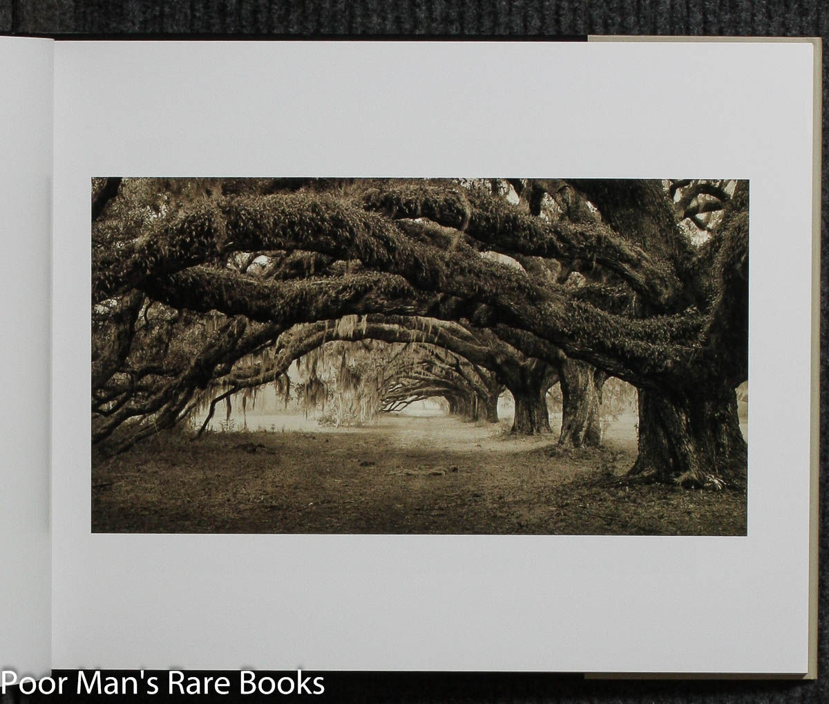 VANISHING LIGHT : THE LARGE FORMAT PHOTOGRAPHY OF BEN HAM. [SIGNED AND ...