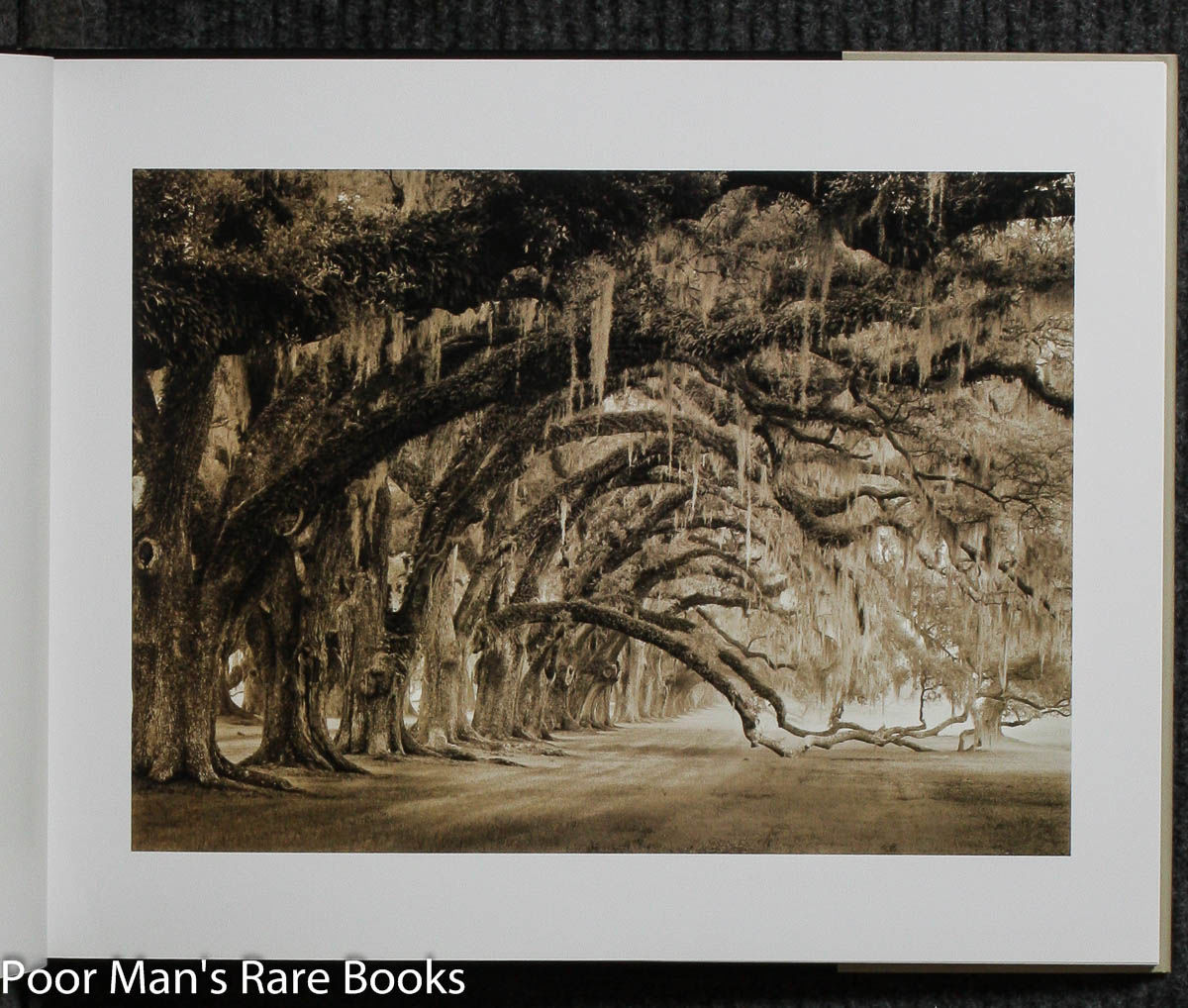 VANISHING LIGHT : THE LARGE FORMAT PHOTOGRAPHY OF BEN HAM. [SIGNED AND ...