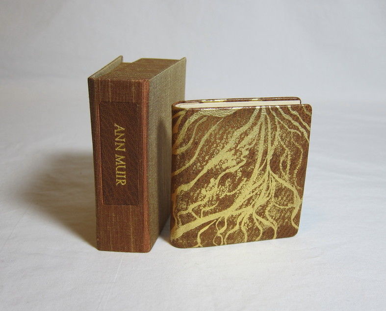 Ann Muir, Master Marbler by Neale M. Albert (publisher) & Gabrielle Fox ...