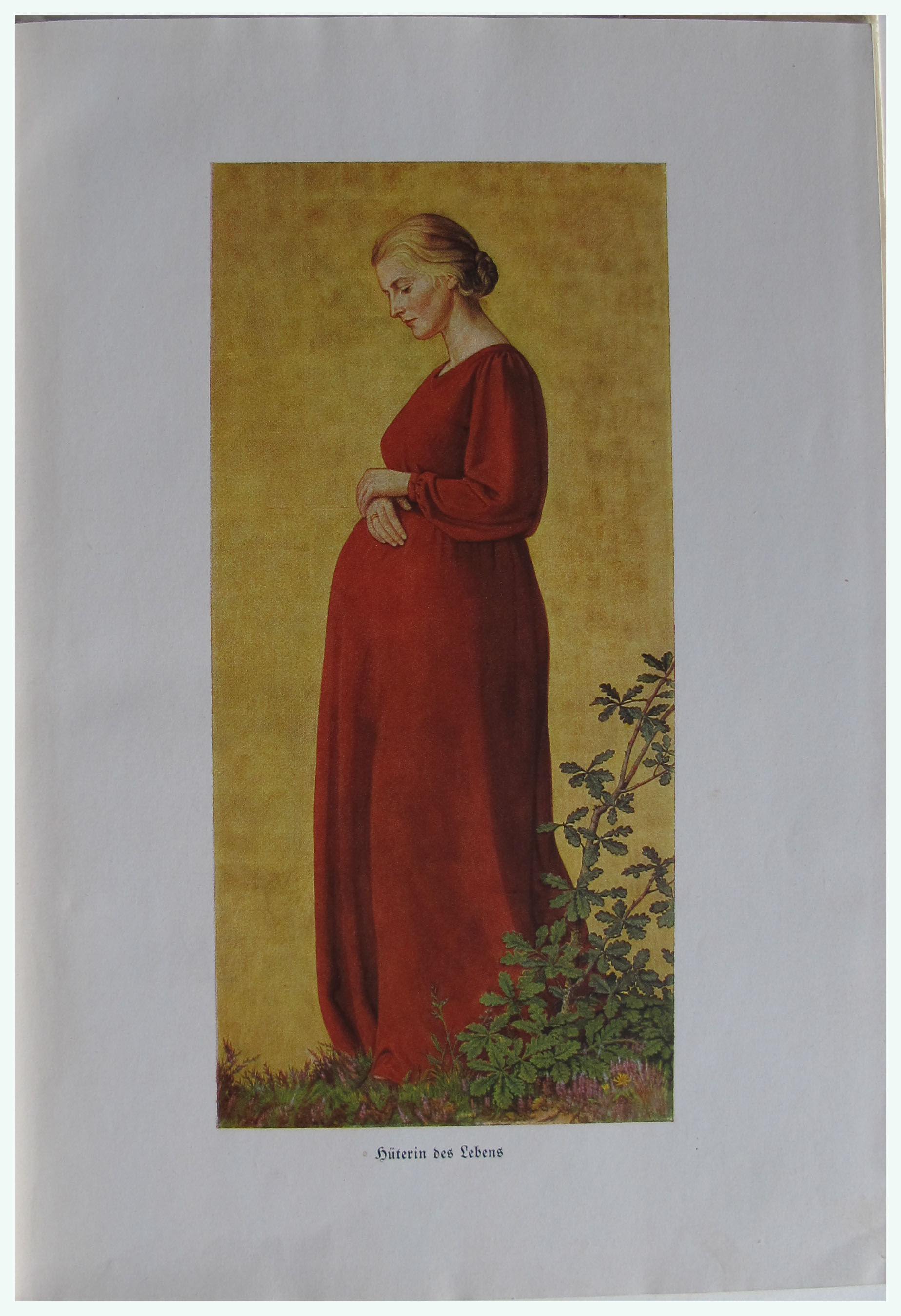 Des Edlen ewiges Reich (The Noble Eternal Reich) by By Wolfgang ...