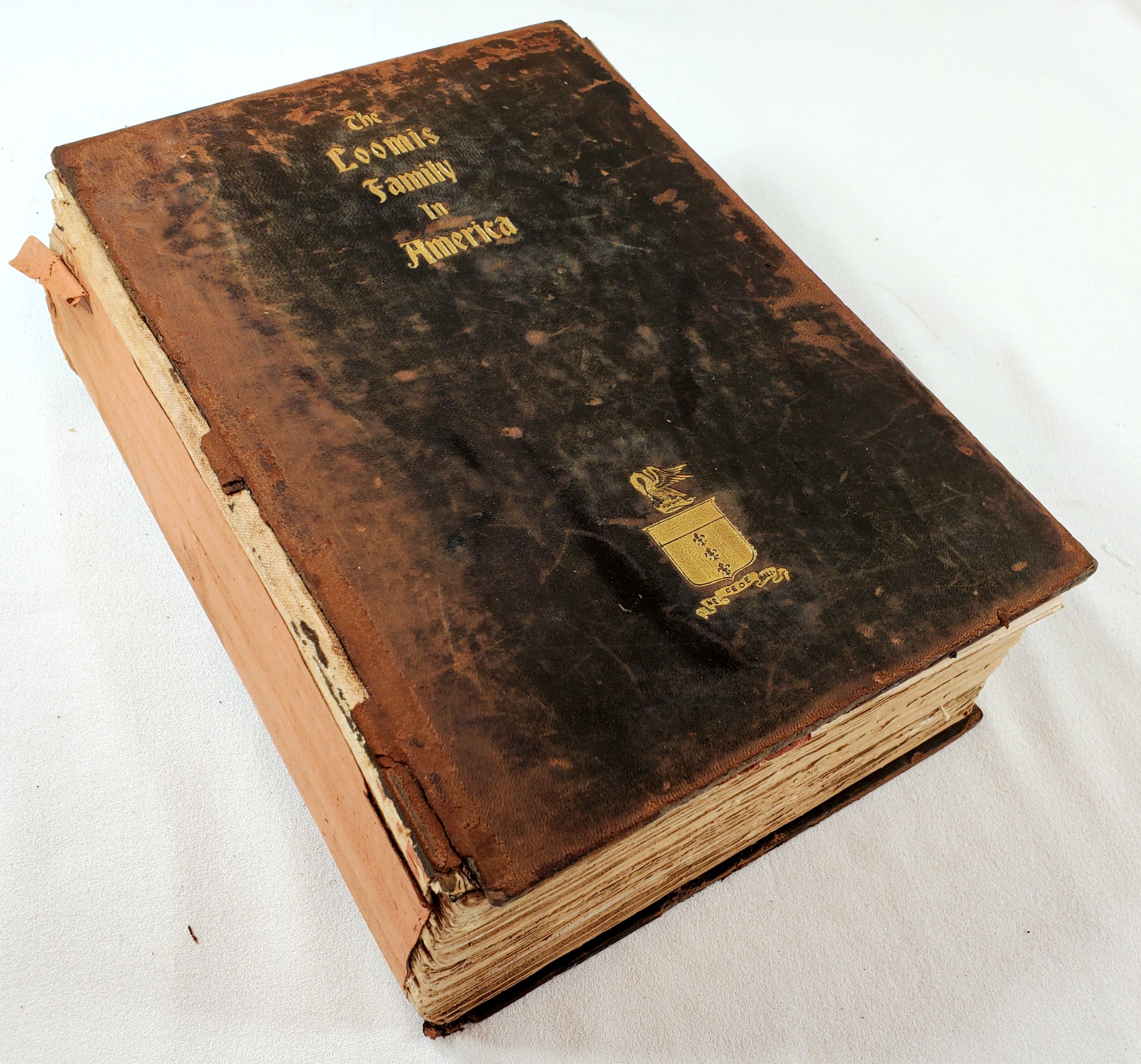 Genealoy Joseph Loomis