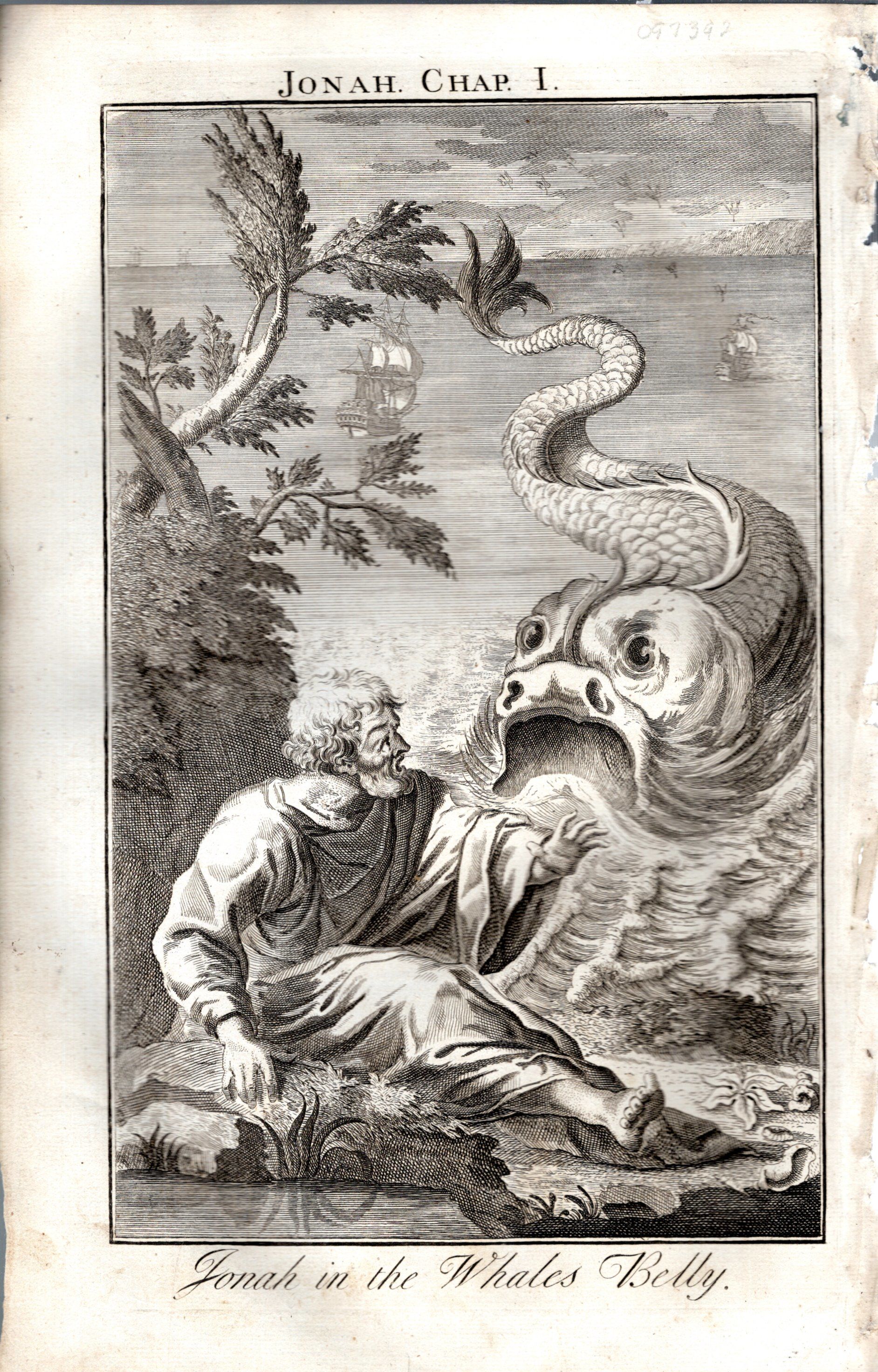 Jonah Inside The Belly
