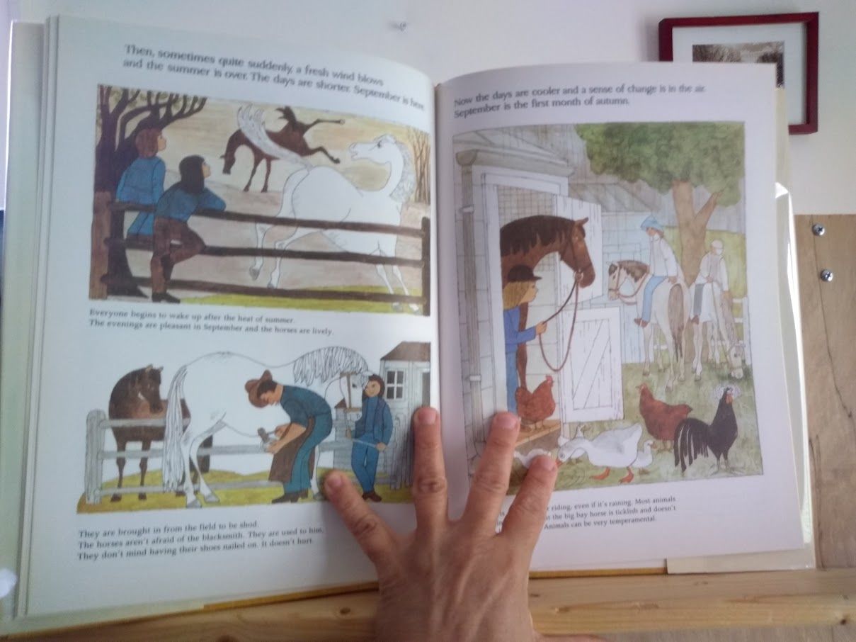 The Year at Maple Hill Farm by Martin Alice; Provensen - Signed First ...