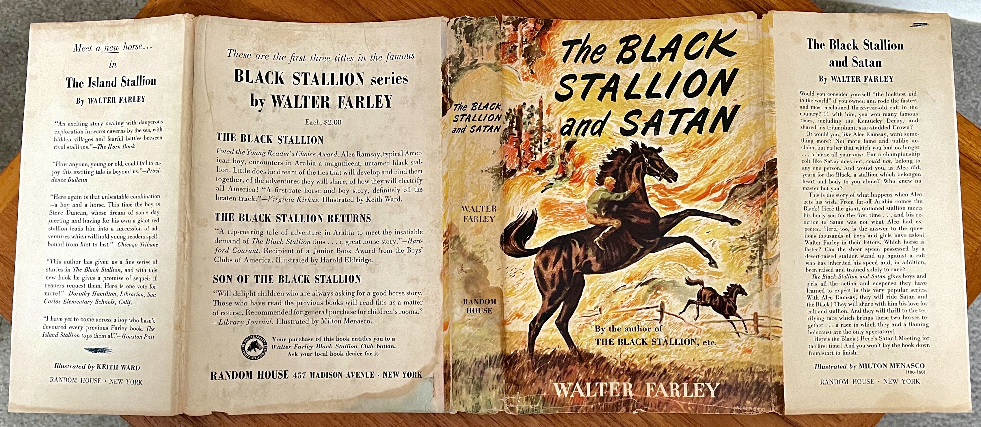 Black Stallion Book