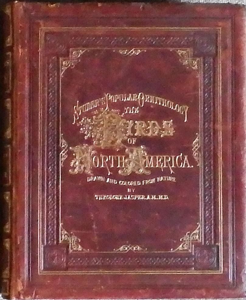 BIBLIO | Studer's Popular Ornithology: The Birds of North America by ...
