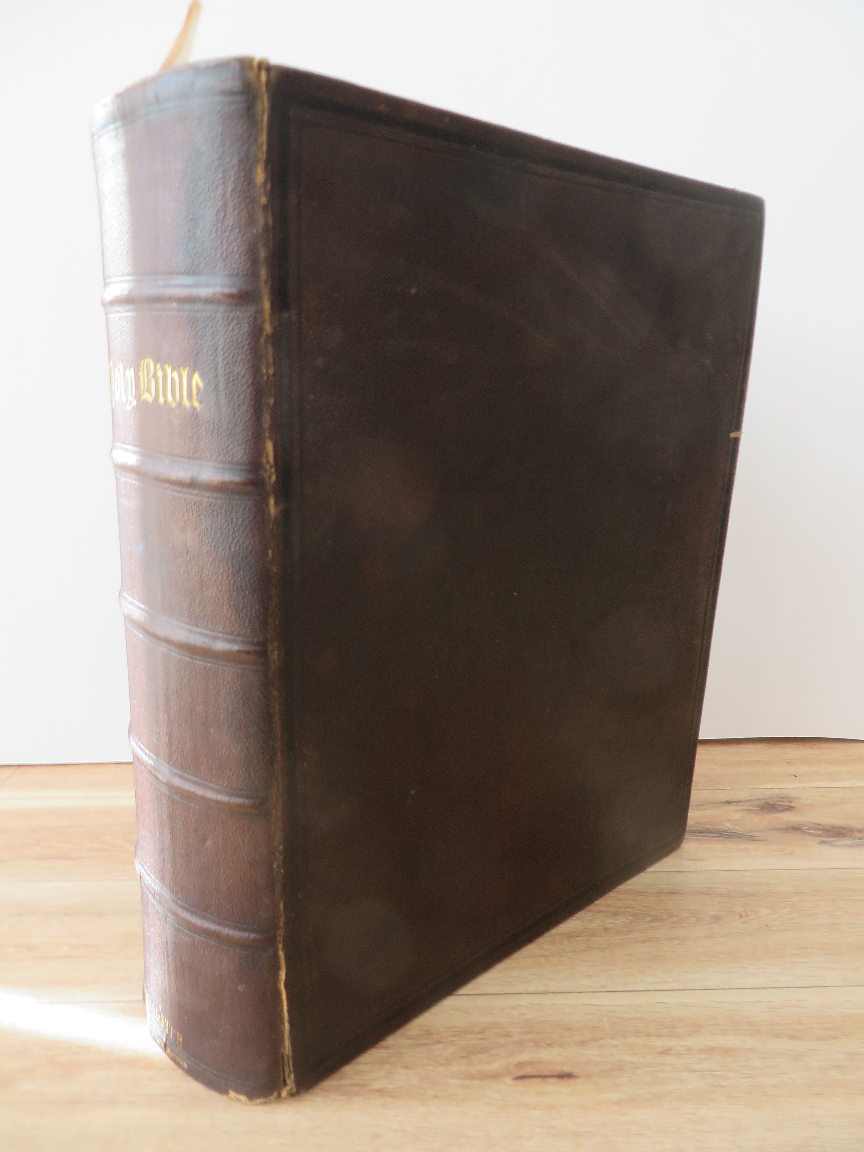 The Comprehensive Bible; Containing the Old and New Testaments by ...