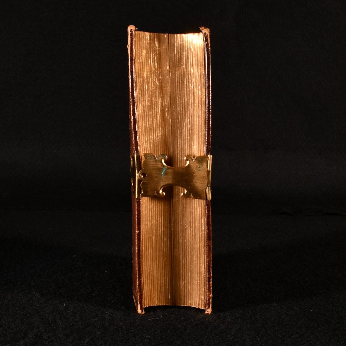 The Holy Bible containing the Old and New Testaments: Translated out of ...