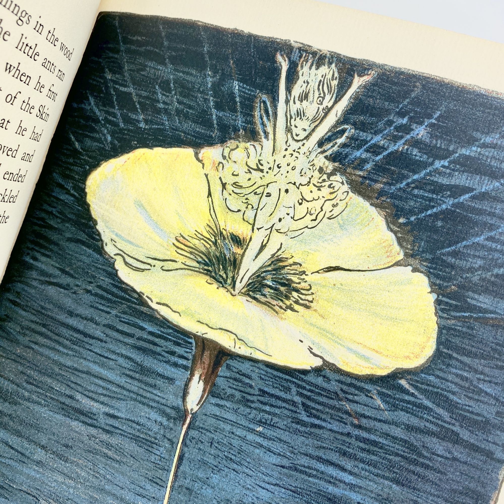 THE VELVETEEN RABBIT by Margery Williams] Margery [Bianco - First ...