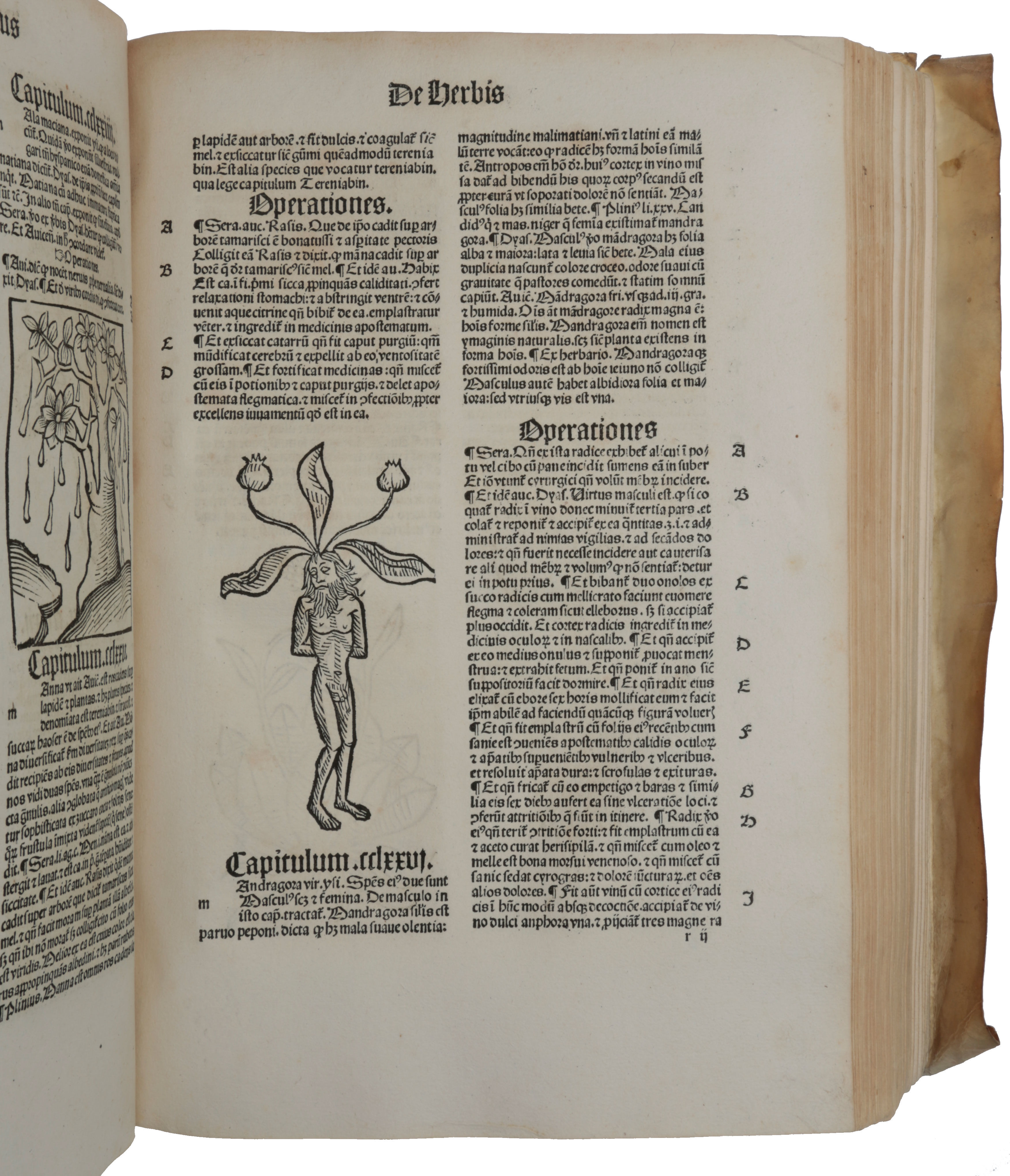 Hortus Sanitatis. De Herbis et Plantis. De Animalibus et Reptilibus. De ...