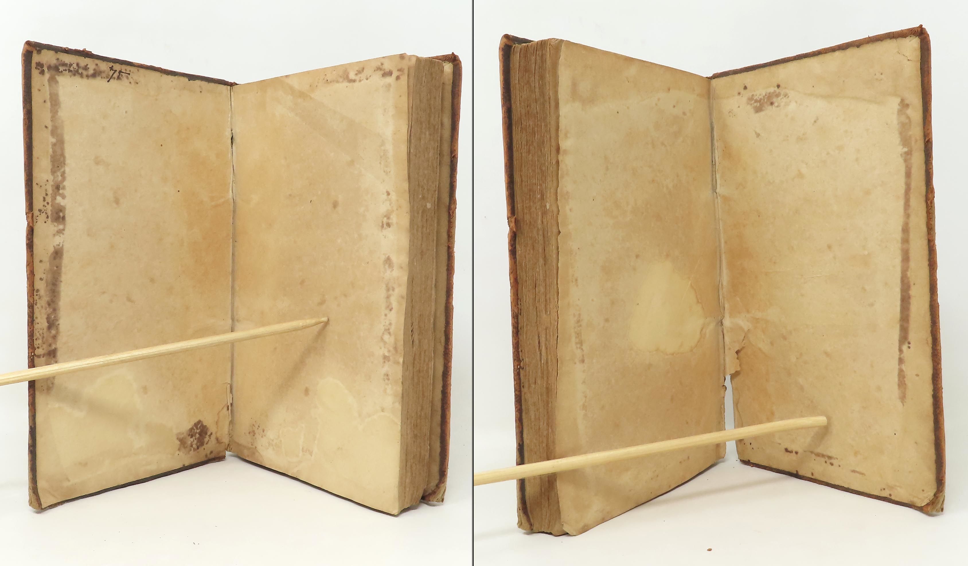 Sketch of a Plan and Method of Education, Founded on an Analysis of the ...