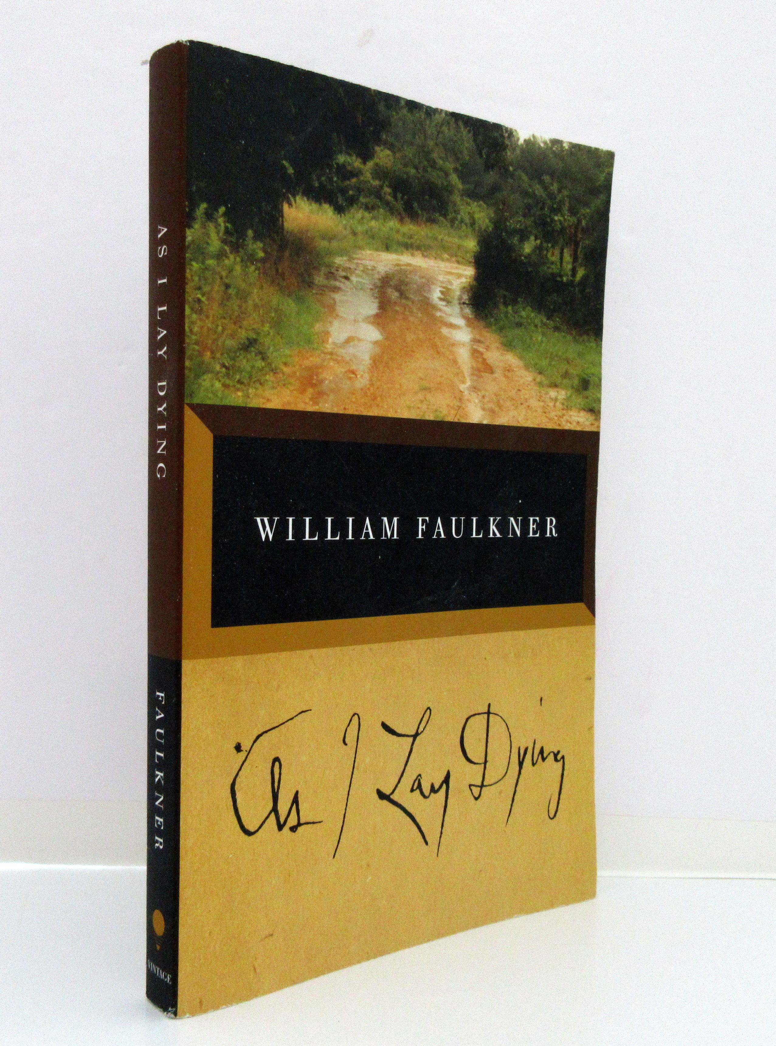 As I Lay Dying Book