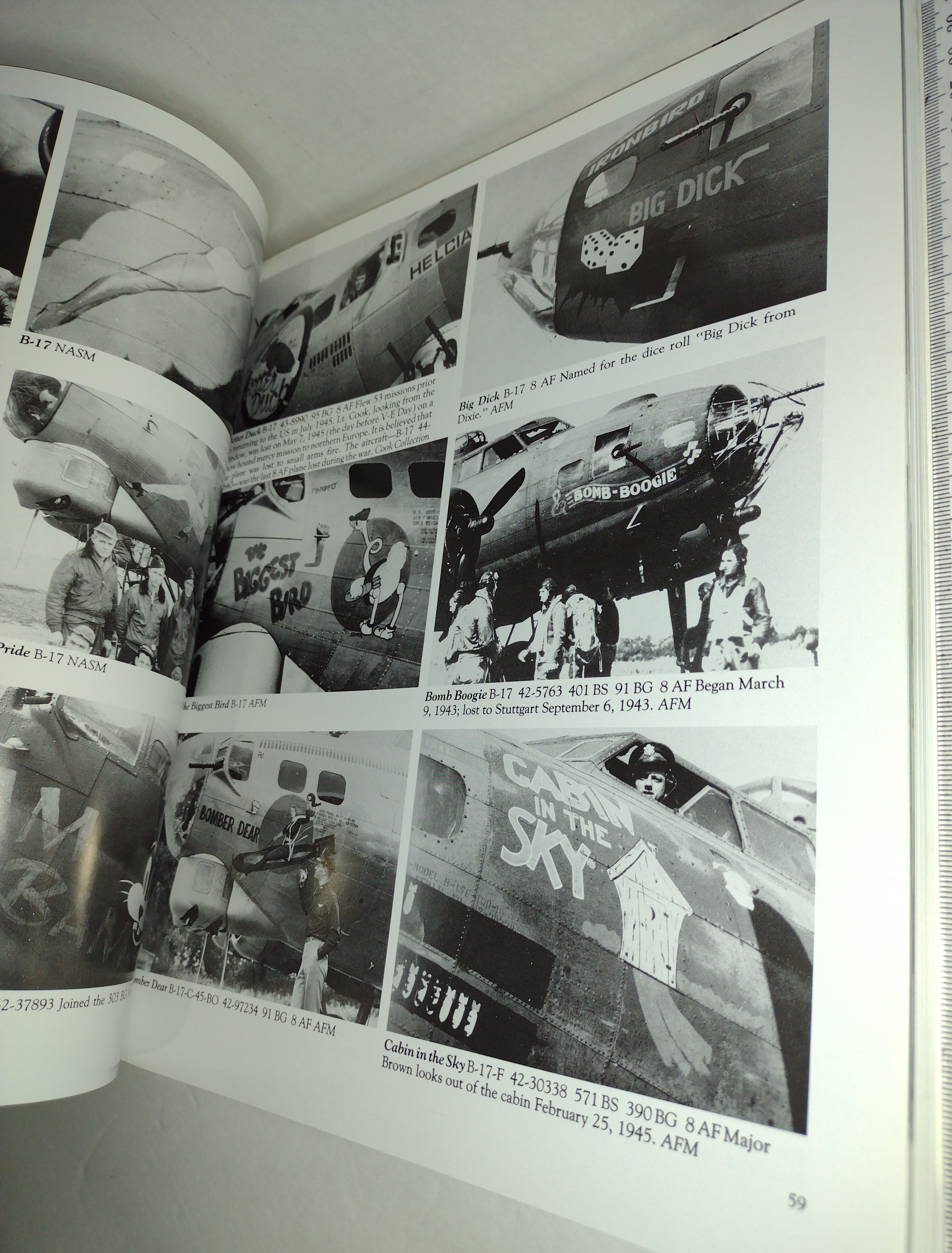 Vintage Aircraft Nose Art (Motorbooks Classic) by Gary Valant ...