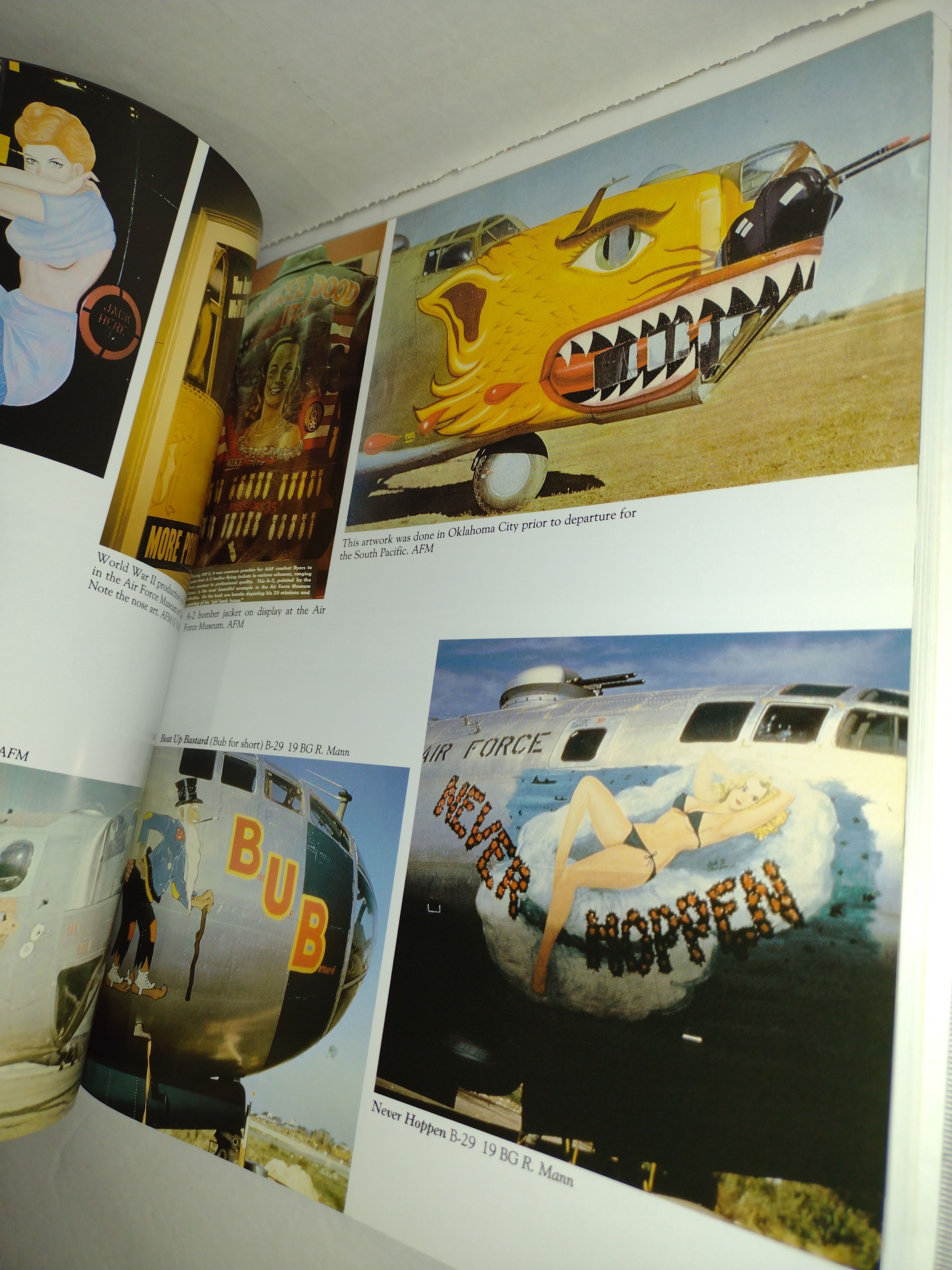 Vintage Aircraft Nose Art (Motorbooks Classic) by Gary Valant ...