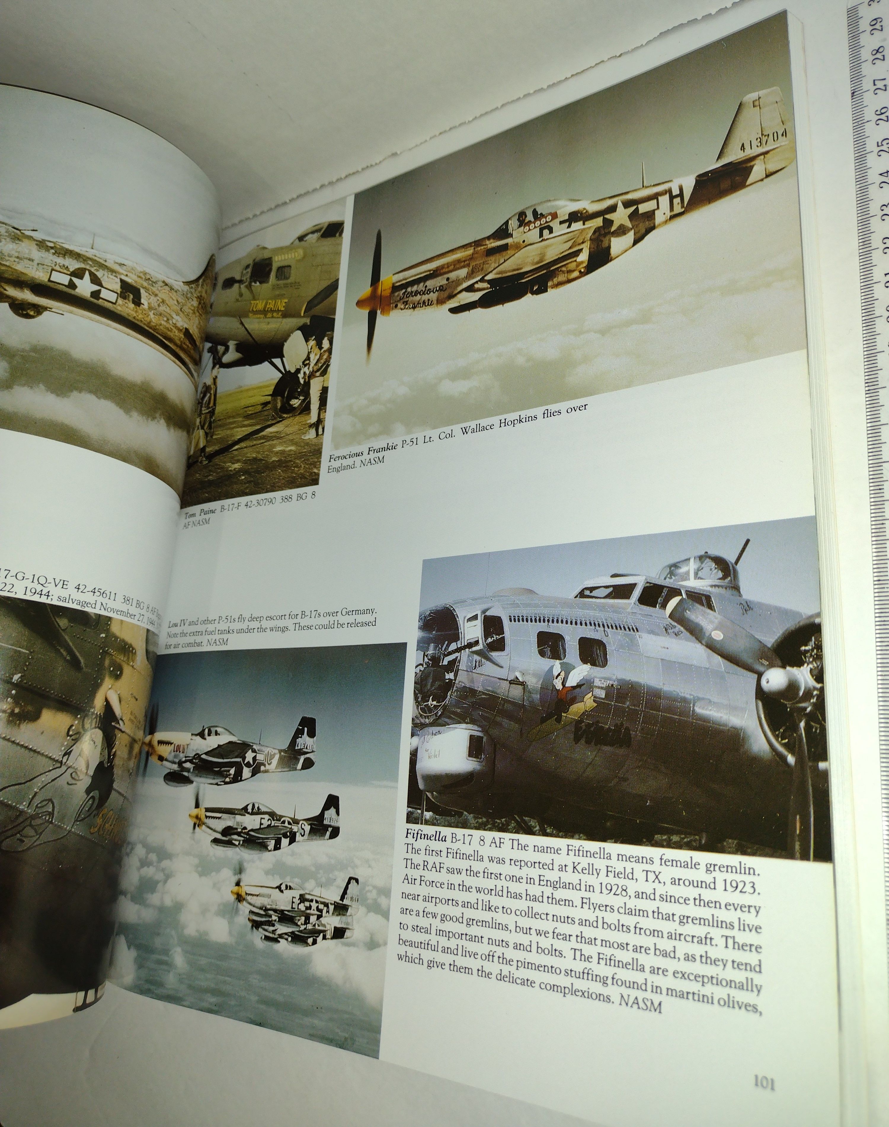 Vintage Aircraft Nose Art (Motorbooks Classic) by Gary Valant ...