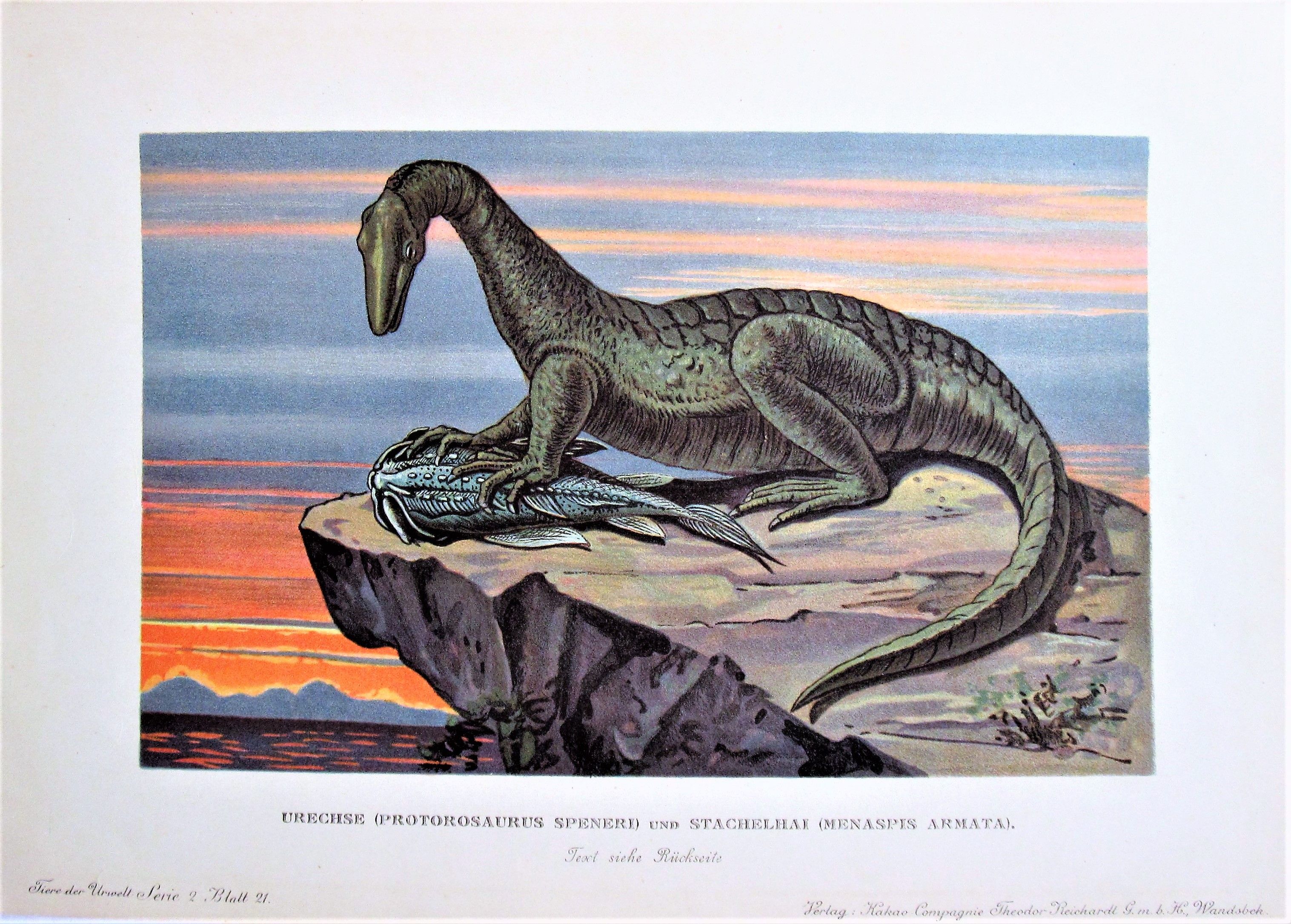 Antique Chromolighograph. Prehistoric Dinosaur Protorosaurus by Theodor ...
