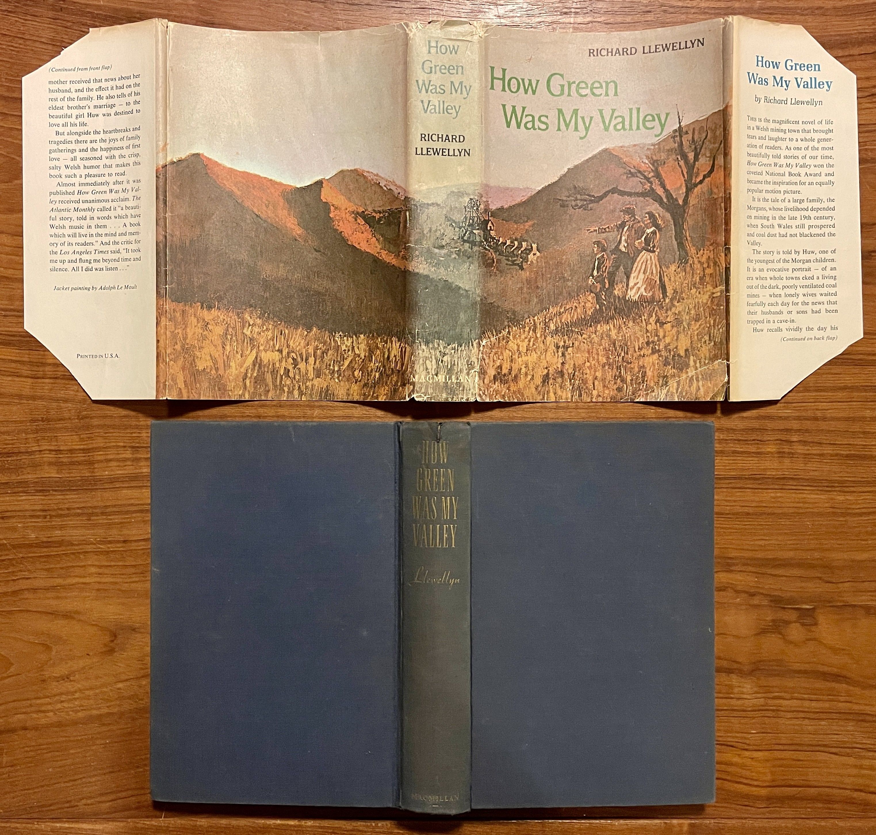 How Green Was My Valley Book