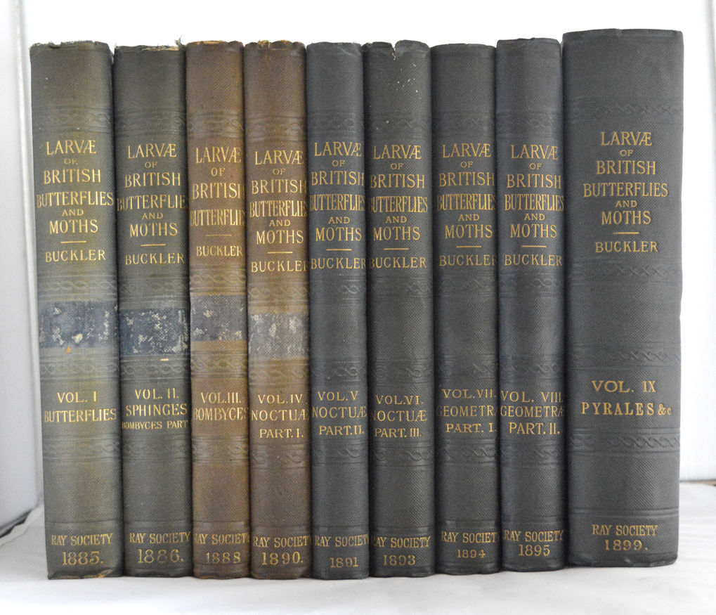 The Larvae of the British Butterflies and Moths Vols I-IX by William ...