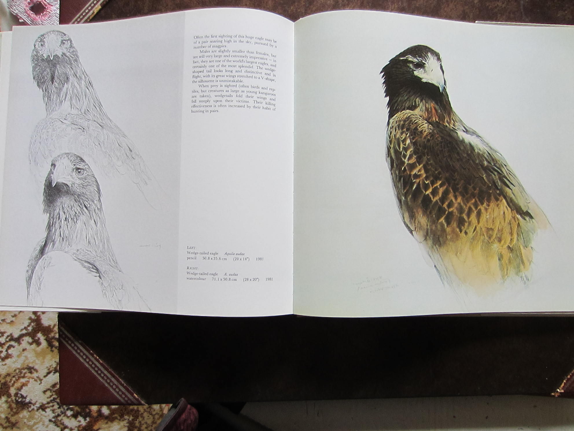 Wild Portraits -- Paintings & Drawings by Raymond Harris-Ching, text by ...