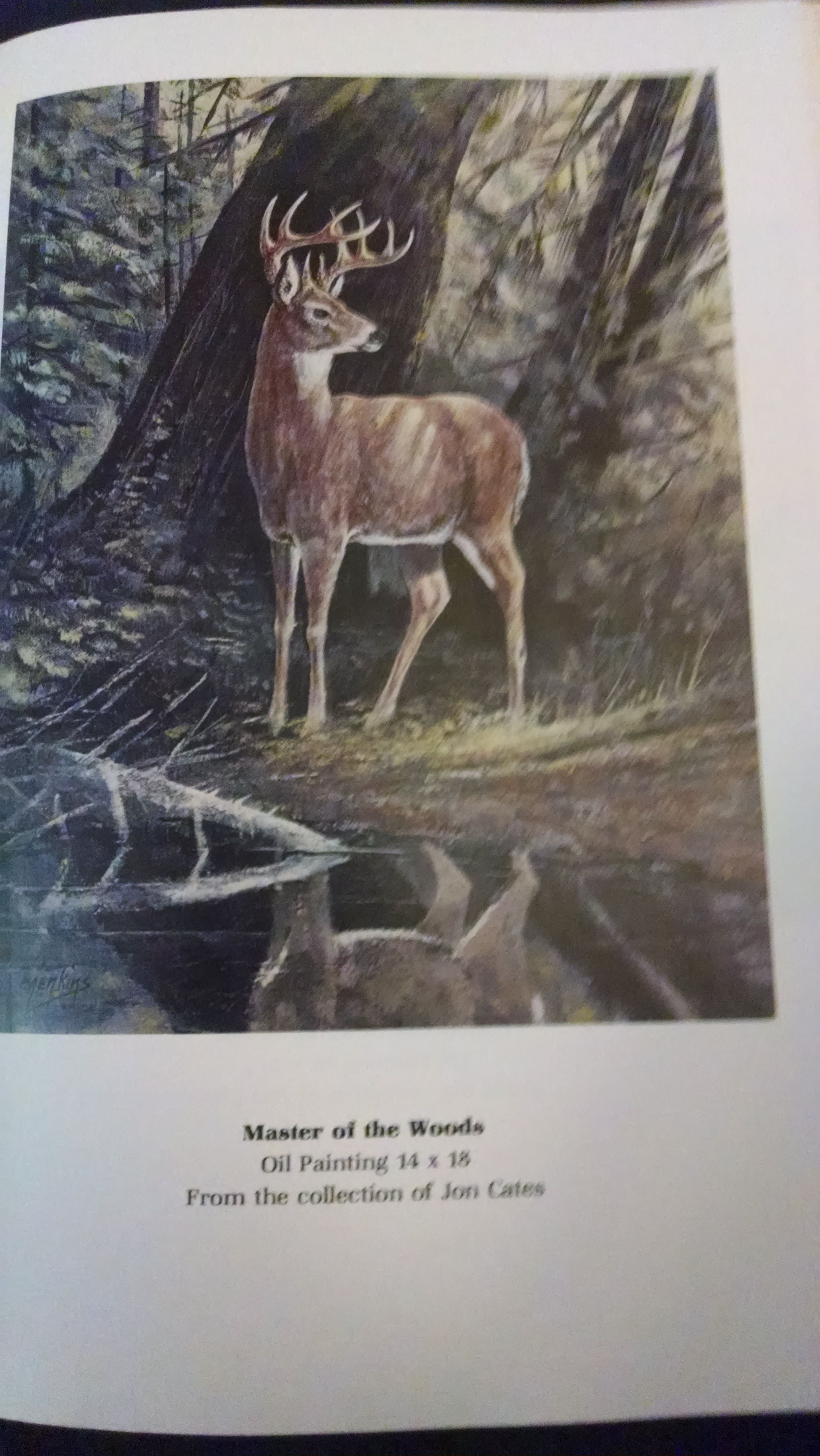 WILDLIFE ART OF RON JENKINS, LIMITED EDITION 55 OF 200 by JON E. CATES ...
