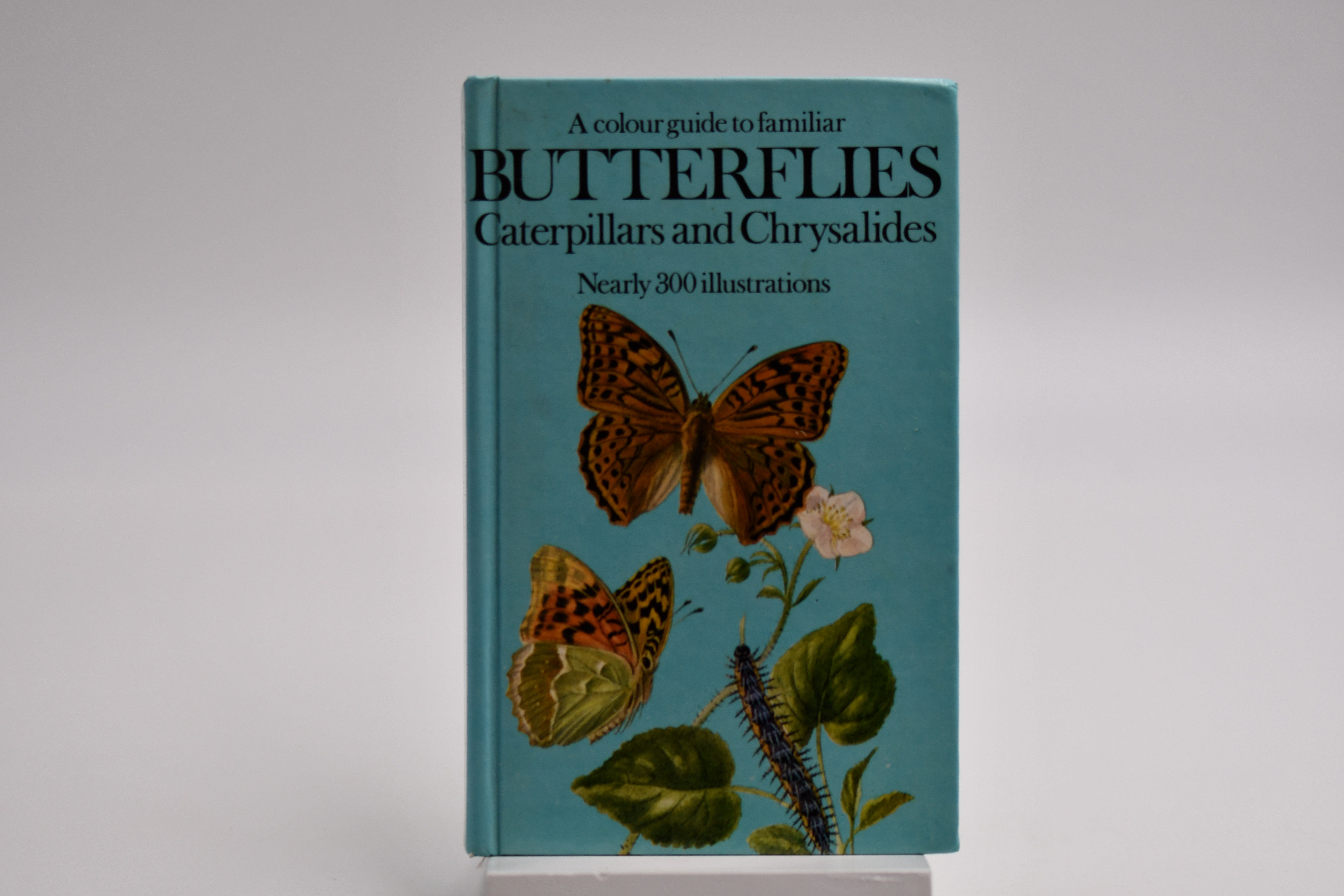 Butterflies Caterpillars and Chrysalides – A Color Guide to the ...