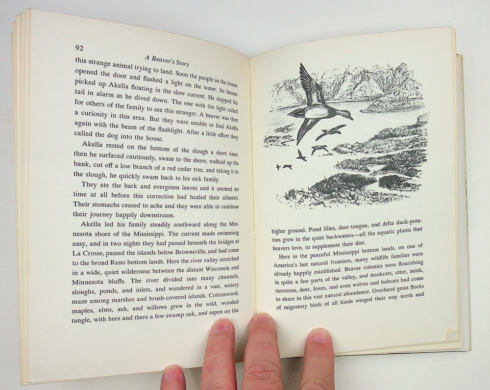 A Beaver's Story by Liers, Emil. E. (author) ; Sherin, Ray (illustrator ...