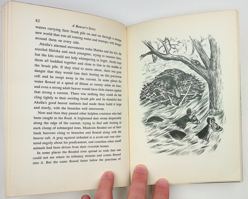 A Beaver's Story by Liers, Emil. E. (author) ; Sherin, Ray (illustrator ...