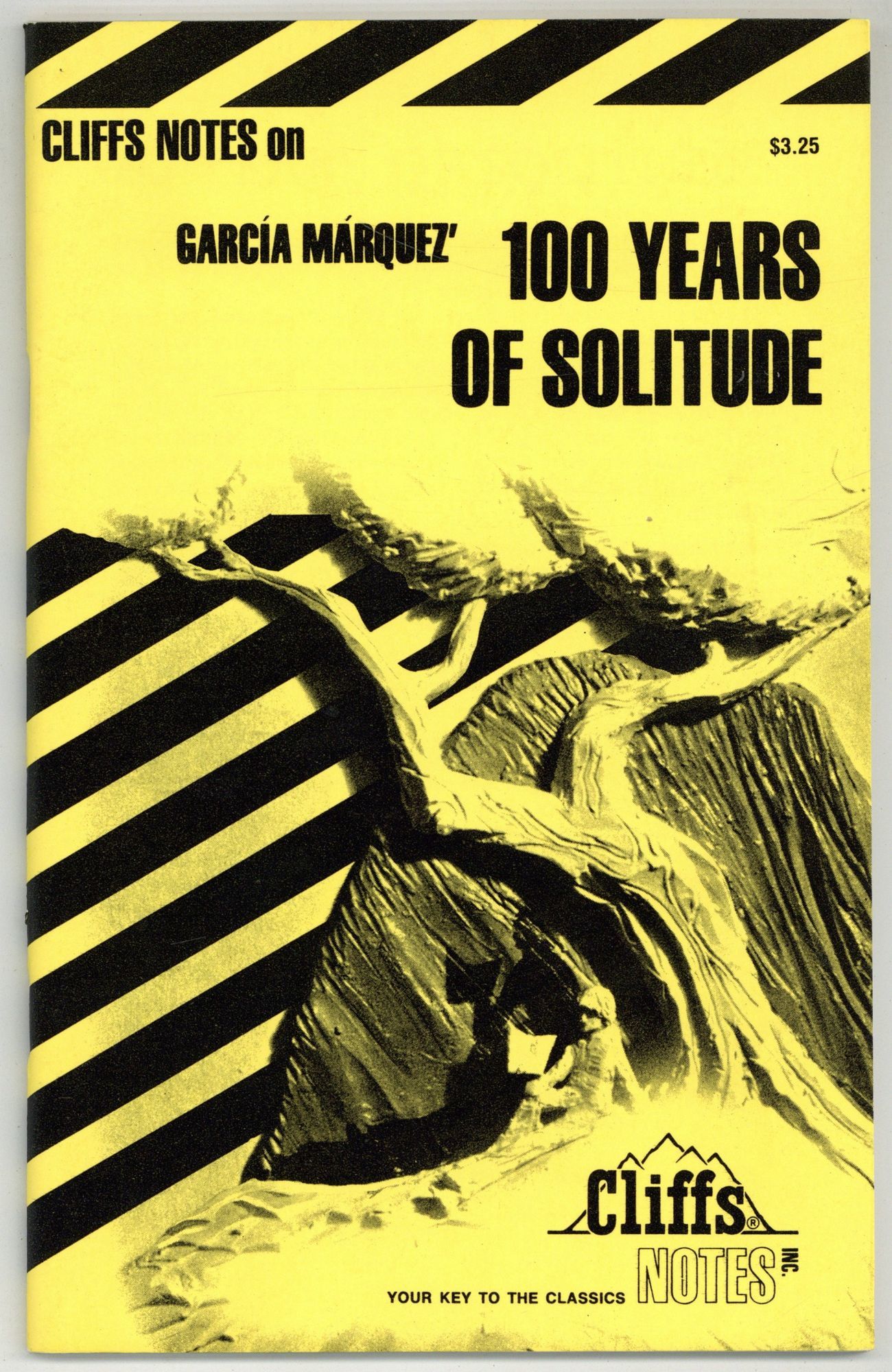 Cliffs Notes on 100 Years of Solitude. Notes, Including Life of the ...