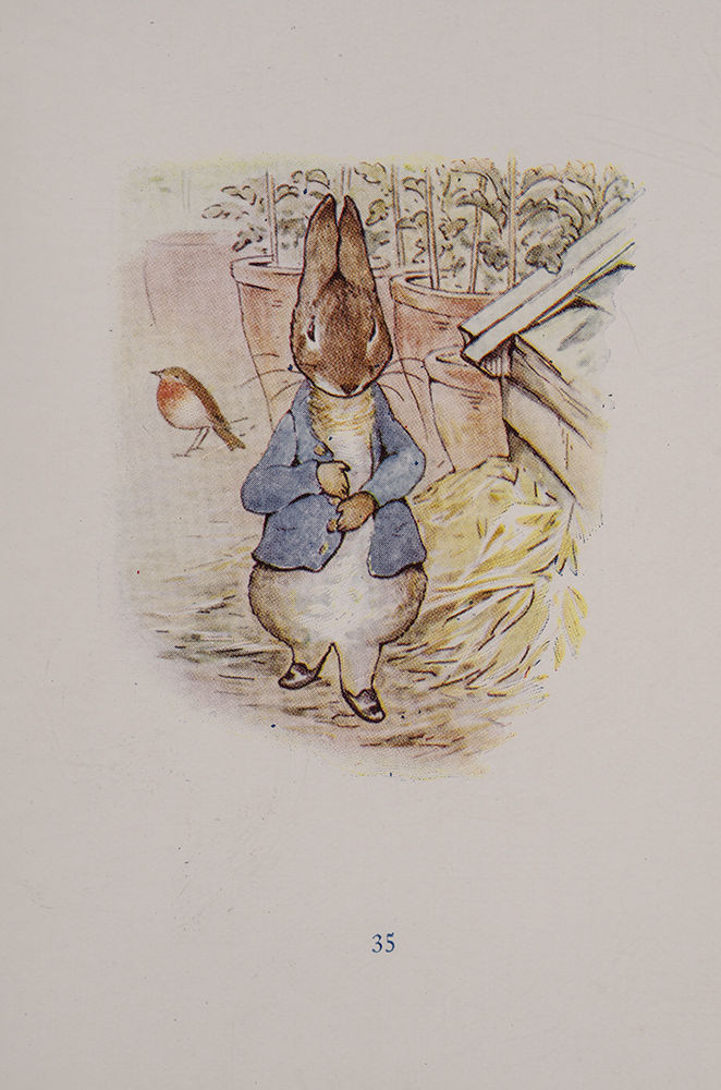 Tale of Peter Rabbit, The by POTTER, Beatrix | London: Frederick Warne ...