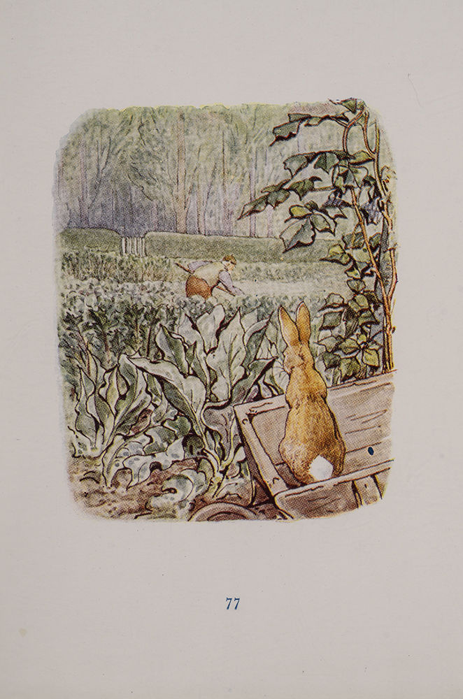 Tale of Peter Rabbit, The by POTTER, Beatrix | London: Frederick Warne ...