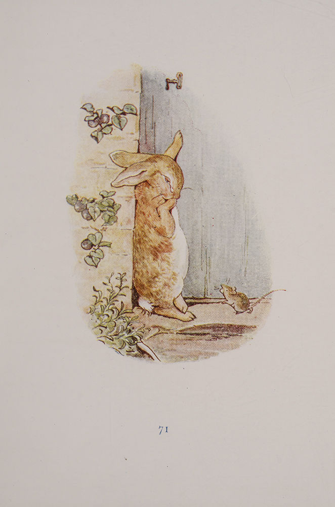 Tale of Peter Rabbit, The by POTTER, Beatrix | London: Frederick Warne ...