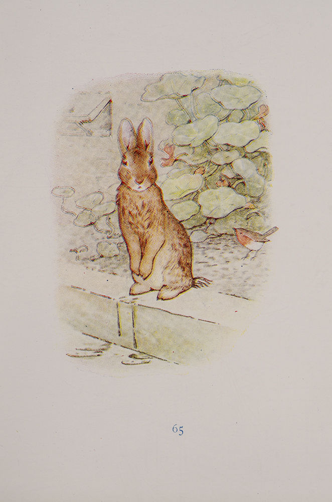 Tale of Peter Rabbit, The by POTTER, Beatrix | London: Frederick Warne ...
