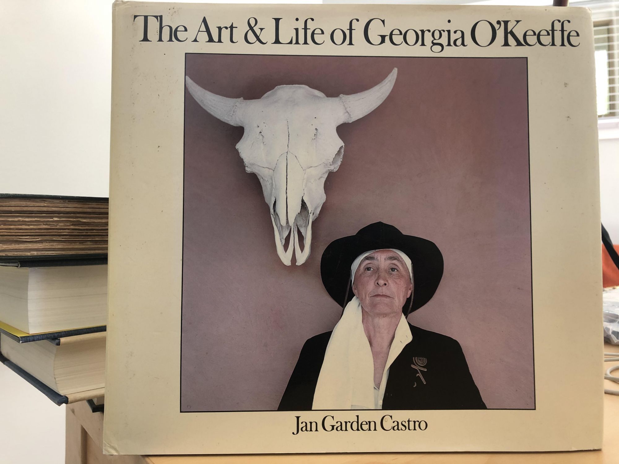 The Art & Life of Georgia O'Keeffe by Jan Garden Castro - First Edition ...