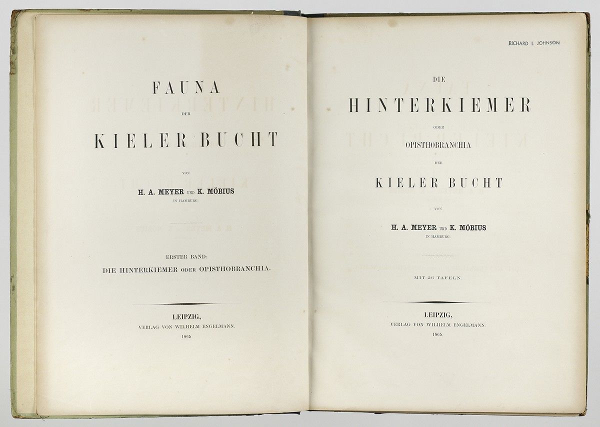 Fauna der Kieler Bucht. Erster Band: Die Hinterkiemer oder ...