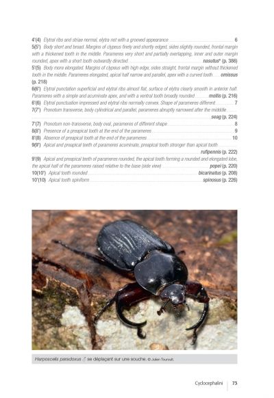 Les Col opt res Dynastidae de Guyane: Coleoptera, Scarabaeoidea by Dupuis, F.; Perrin, R ...