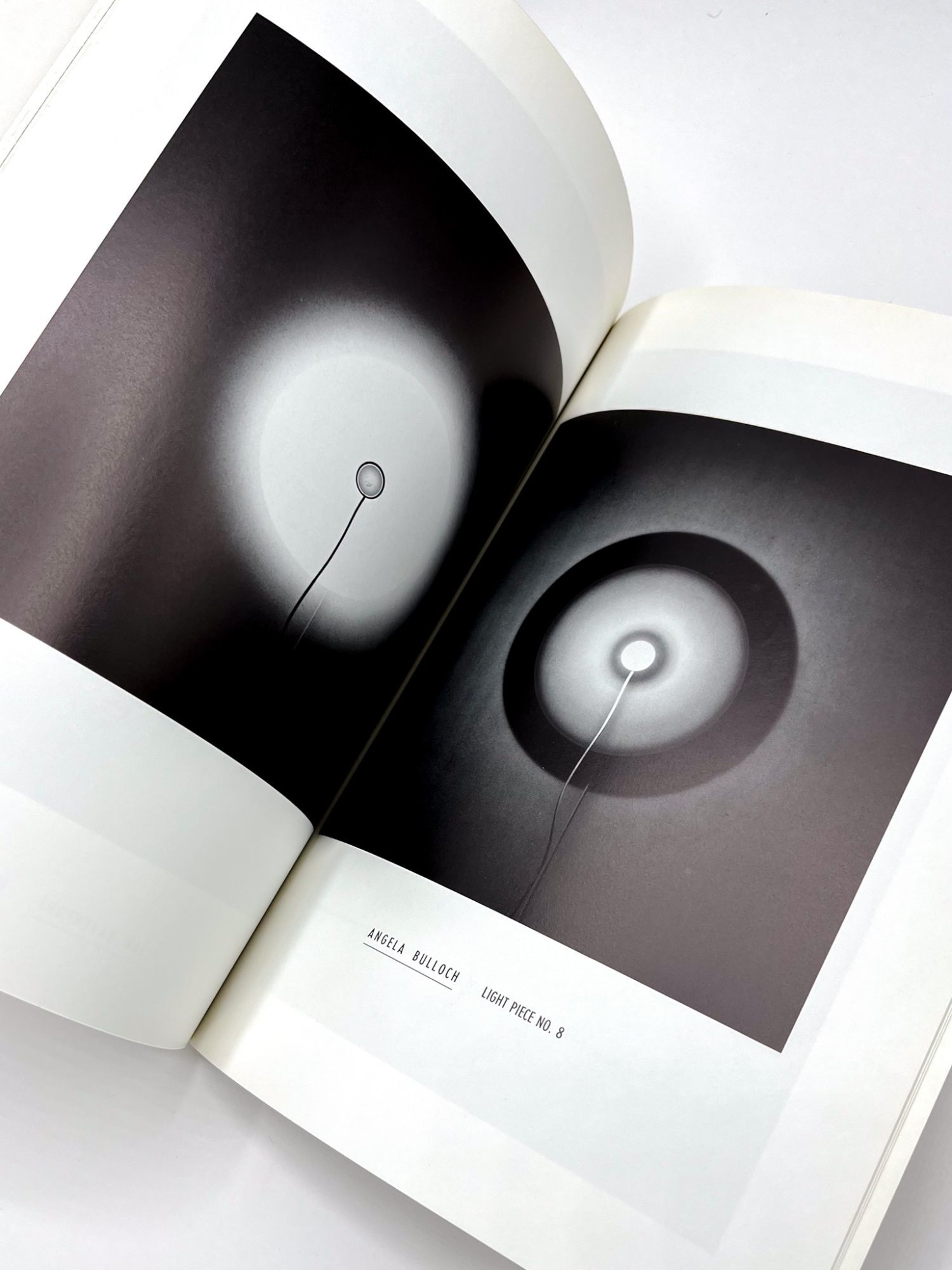 FREEZE by Hirst, Damien; Jeffrey, Ian | Search for Rare Books | ABAA