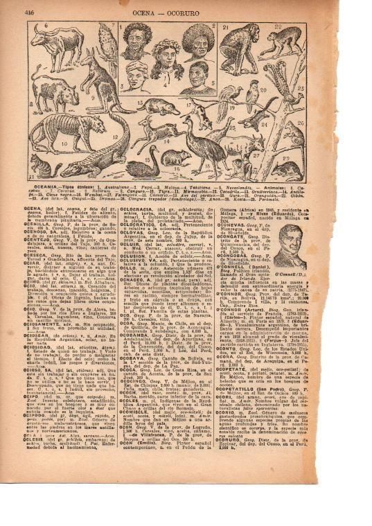 LAMINA 39164: Fauna y etnias de Oceania by VVAA | 1935 | Editorial ...