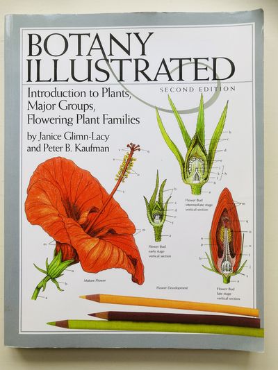 Botany Illustrated: Introduction to Plants, Major Groups, Flowering ...